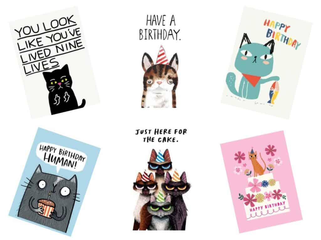 Cat themed party game DIY - Poop toss - Koro Cinco Cats